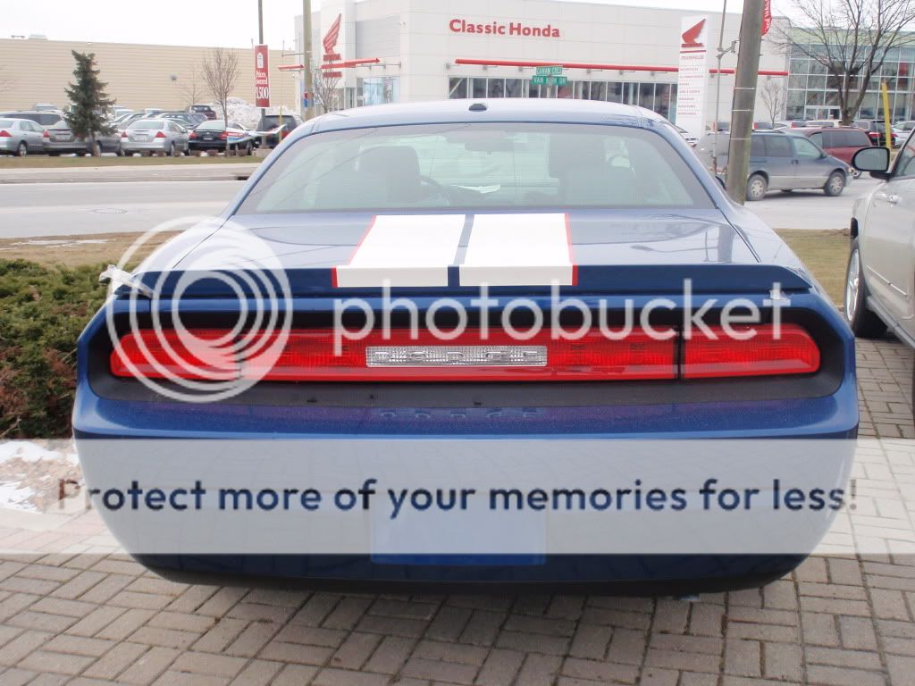 2010 SE with Rallye Package | Dodge Challenger Forum